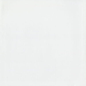 Caustic Window – Caustic Window LP – HHV Mag