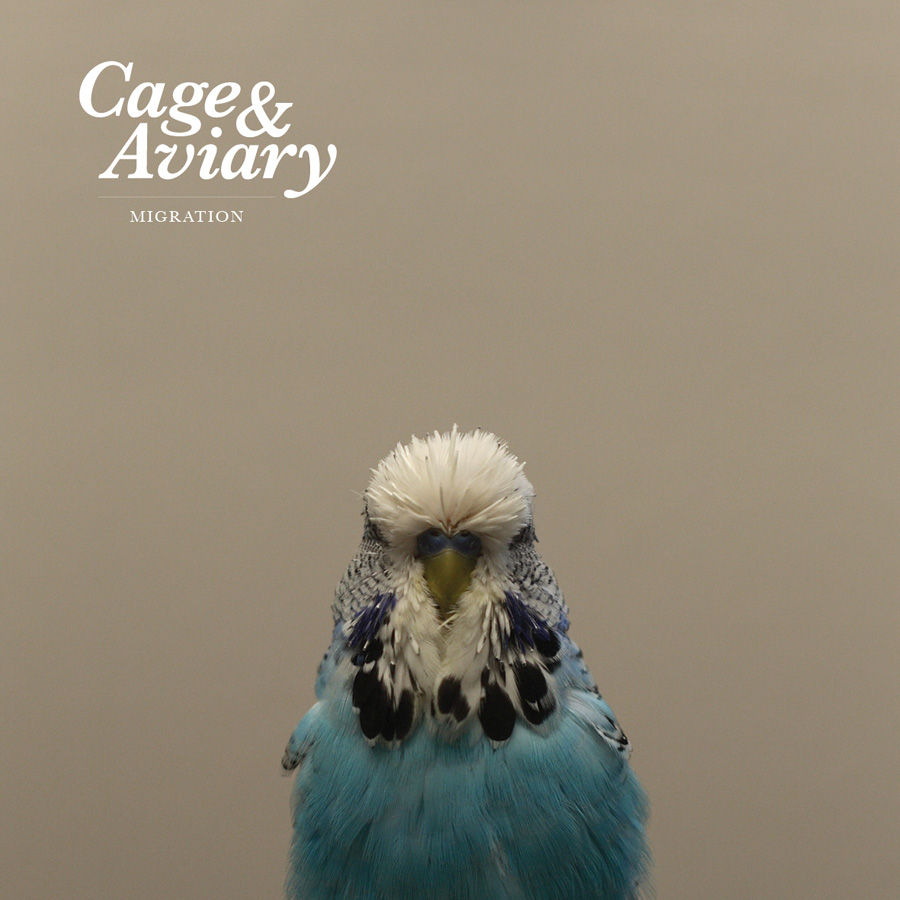 Cage & Aviary – Migration – HHV Mag